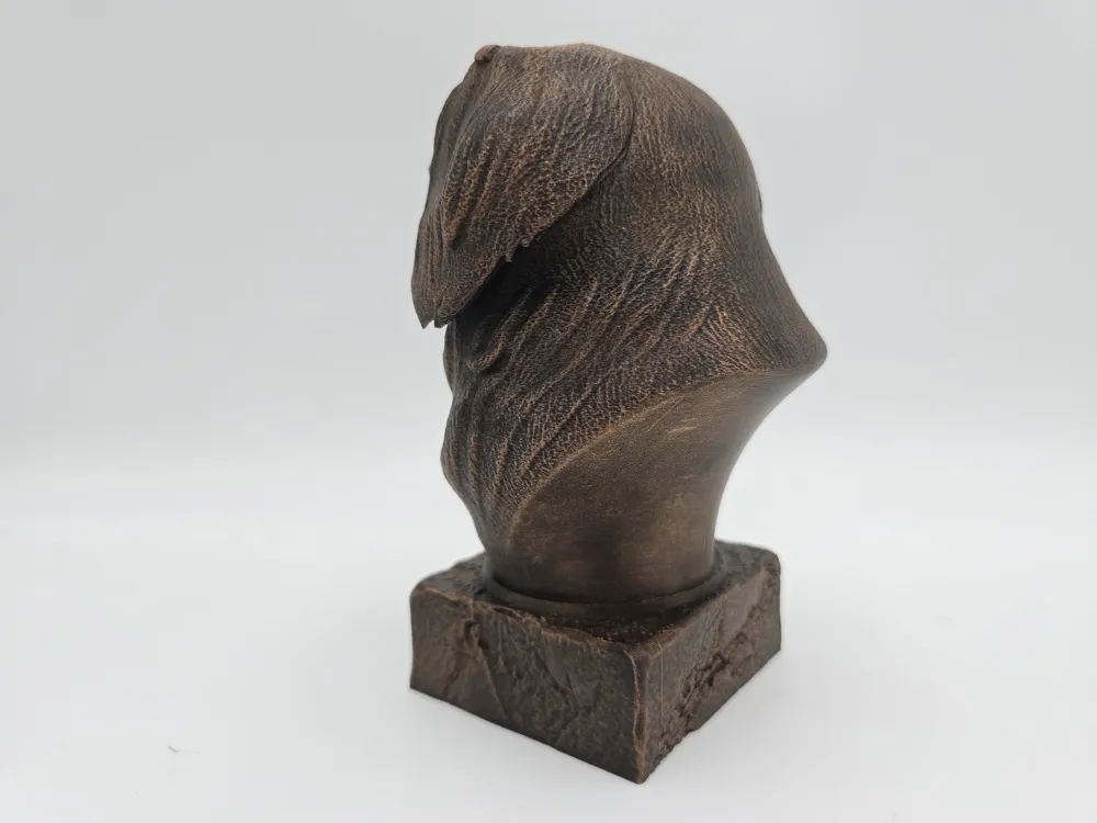 JAPANESE CHIN BUST by Messy_Panda MakerWorld: Download Free 3D Models