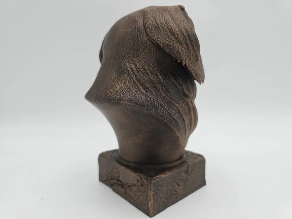 JAPANESE CHIN BUST by Messy_Panda MakerWorld: Download Free 3D Models