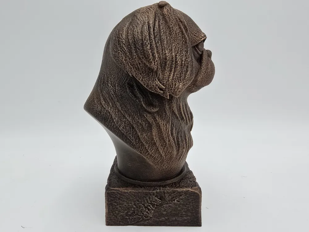JAPANESE CHIN BUST by Messy_Panda MakerWorld: Download Free 3D Models