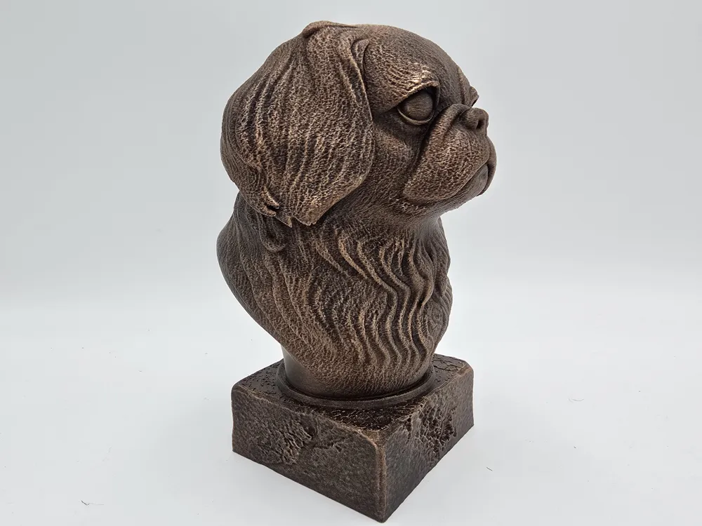 JAPANESE CHIN BUST by Messy_Panda MakerWorld: Download Free 3D Models