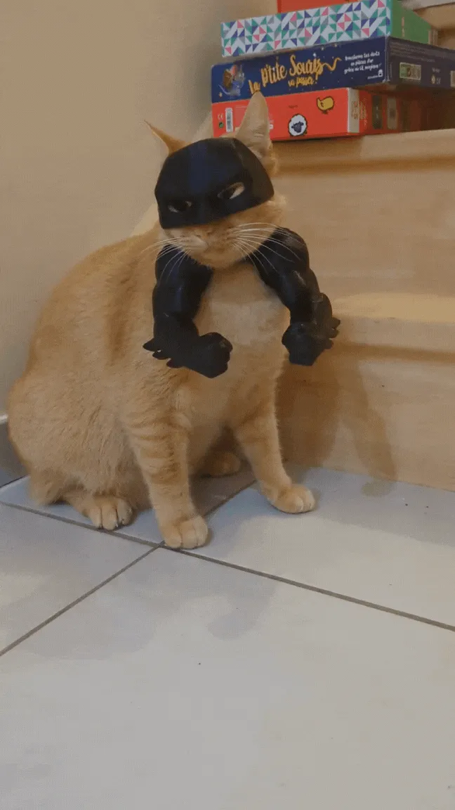 蝙蝠侠猫咪手臂 - 免费 3D 打印模型 - MakerWorld