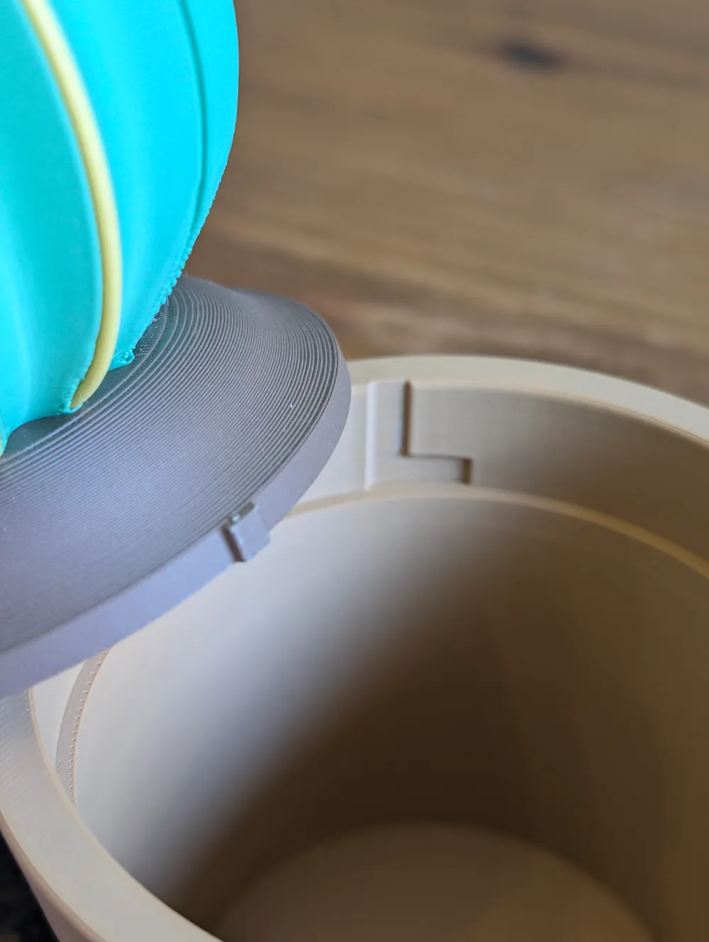 龟背竹 - 多种品种 - 3D打印植物 来自 designs.by.Marcum - MakerWorld