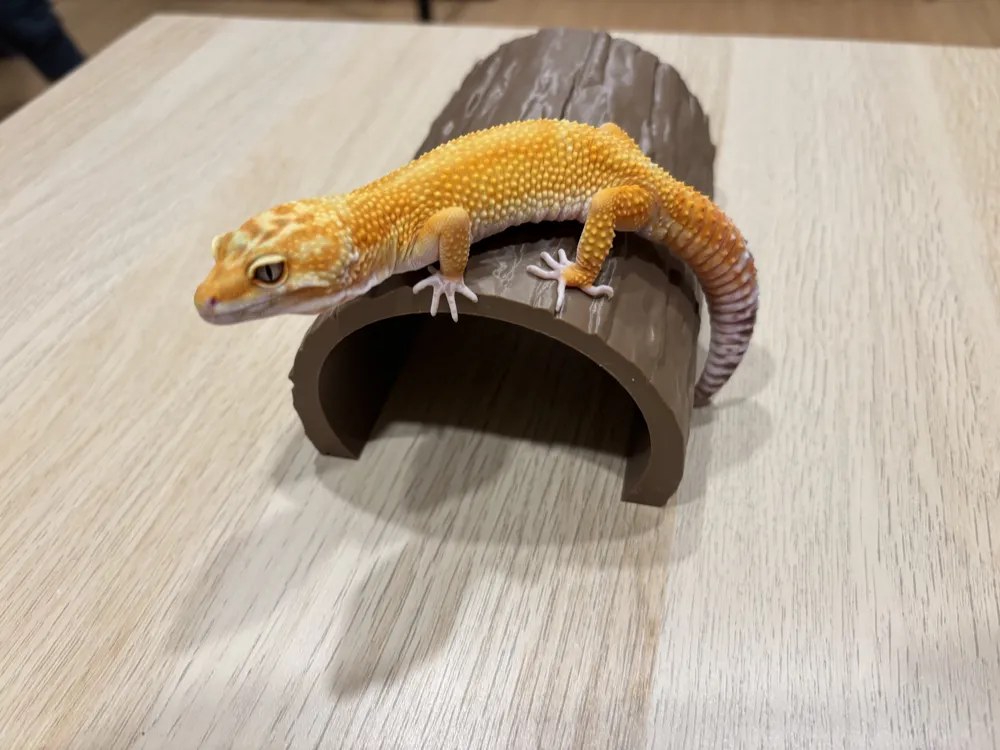 Wood Log Reptile Hide - Free 3D Print Model - MakerWorld