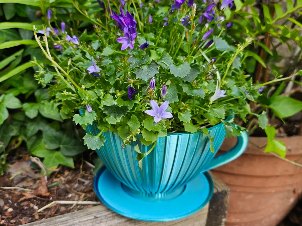 tea cup plant pot by Mimi home decoration MakerWorld: Download Free 3D ...