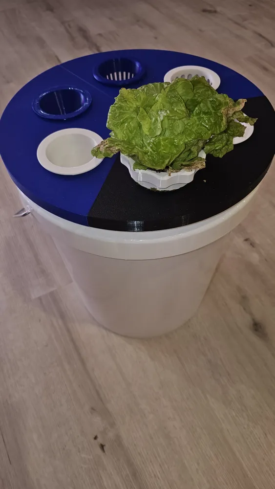 5-Gallon Lid with 41mm and 80mm hole Kratky Lids by FjordFoundry ...