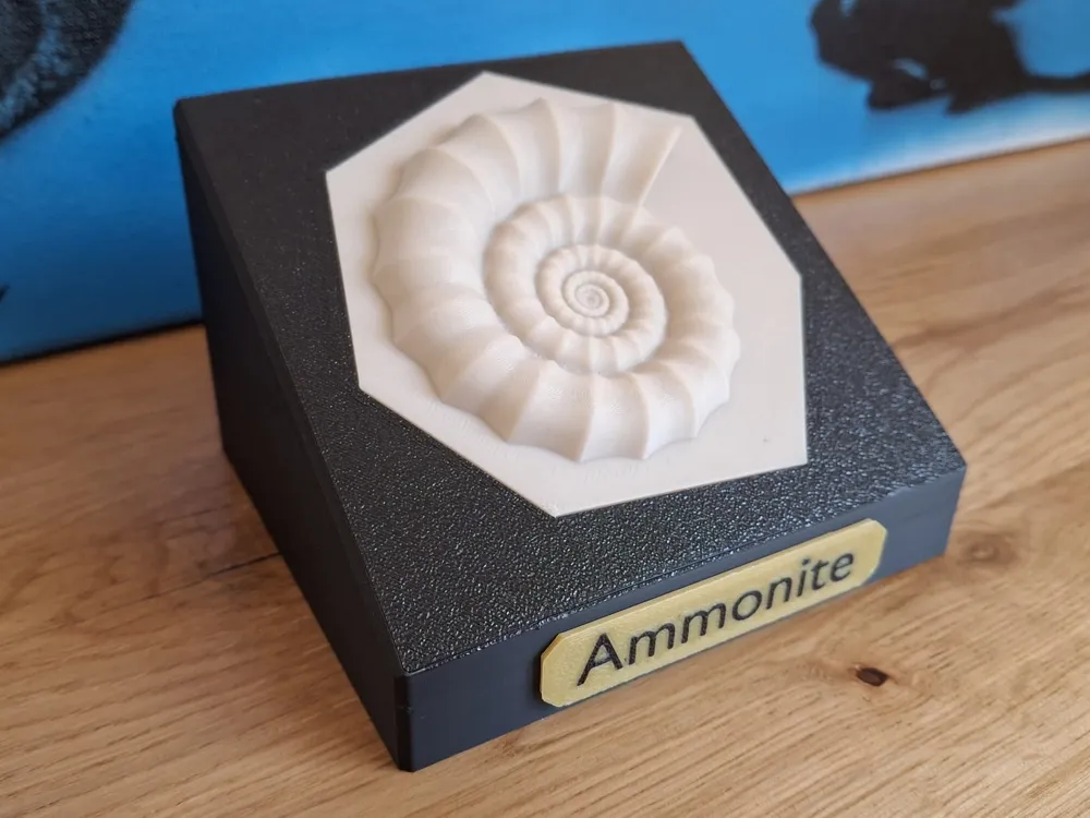 Ammonite fossil display by Rov3r - MakerWorld