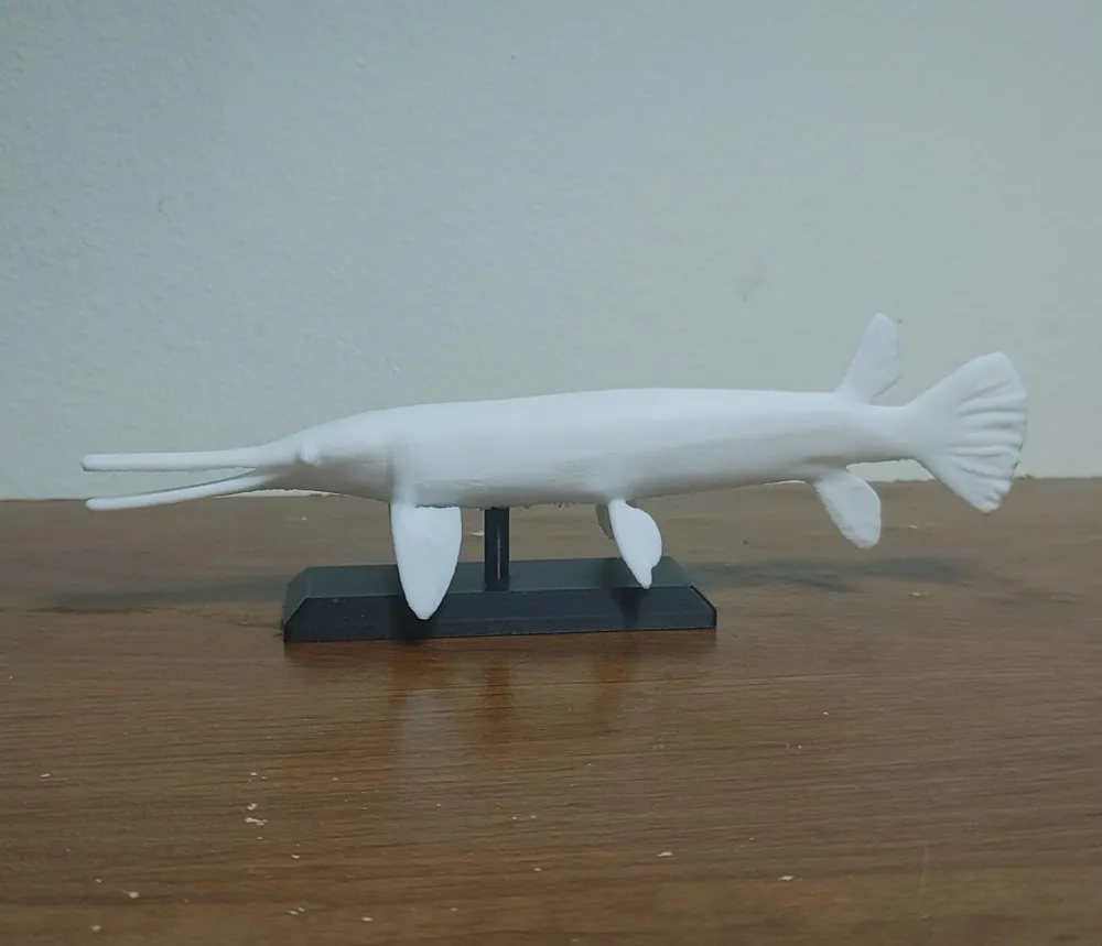 Longnose Gar Fish Mount by Fish Prints - MakerWorld