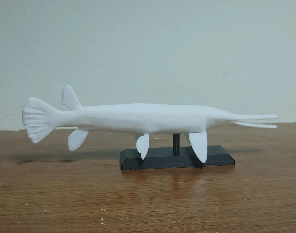 Longnose Gar Fish Mount by Fish Prints - MakerWorld
