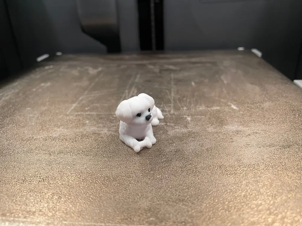 Mille – Cute Maltese Dog with Bone - Free 3D Print Model - MakerWorld