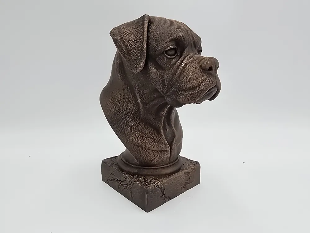 BOXER BUST - Free 3D Print Model - MakerWorld