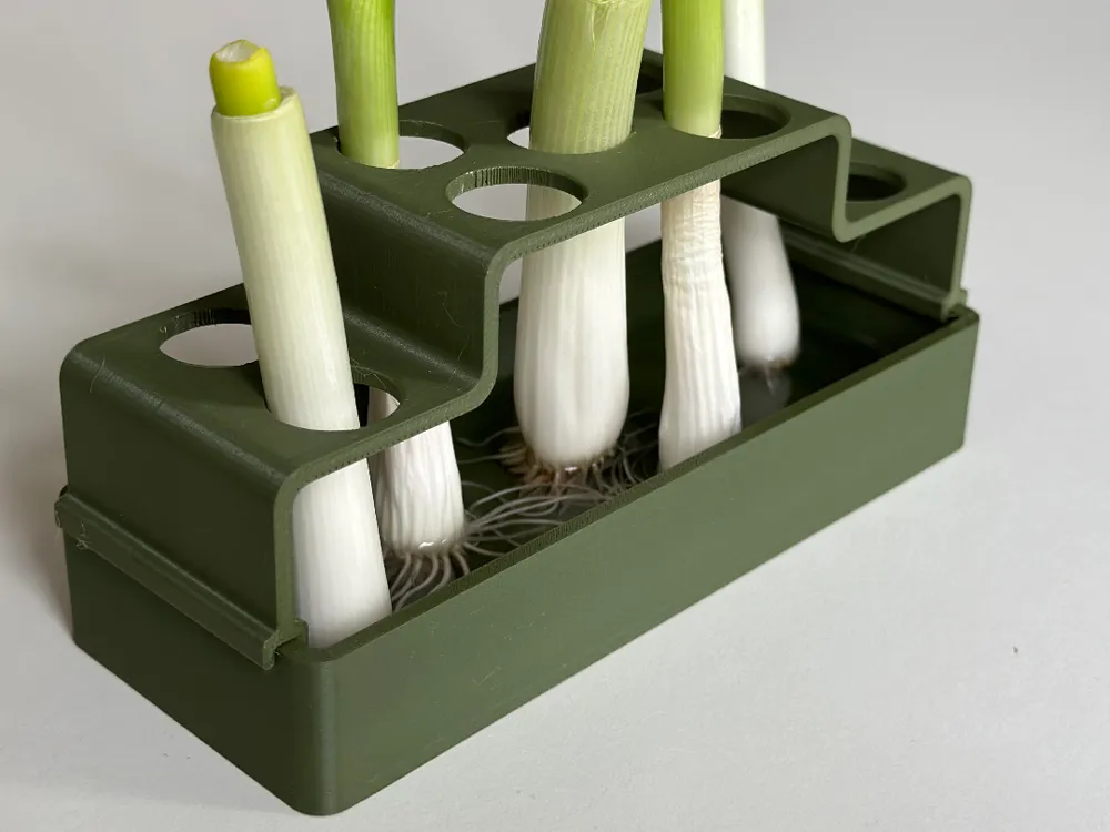 Regrow: Spring Onions by bruno:) MakerWorld: Download Free 3D Models