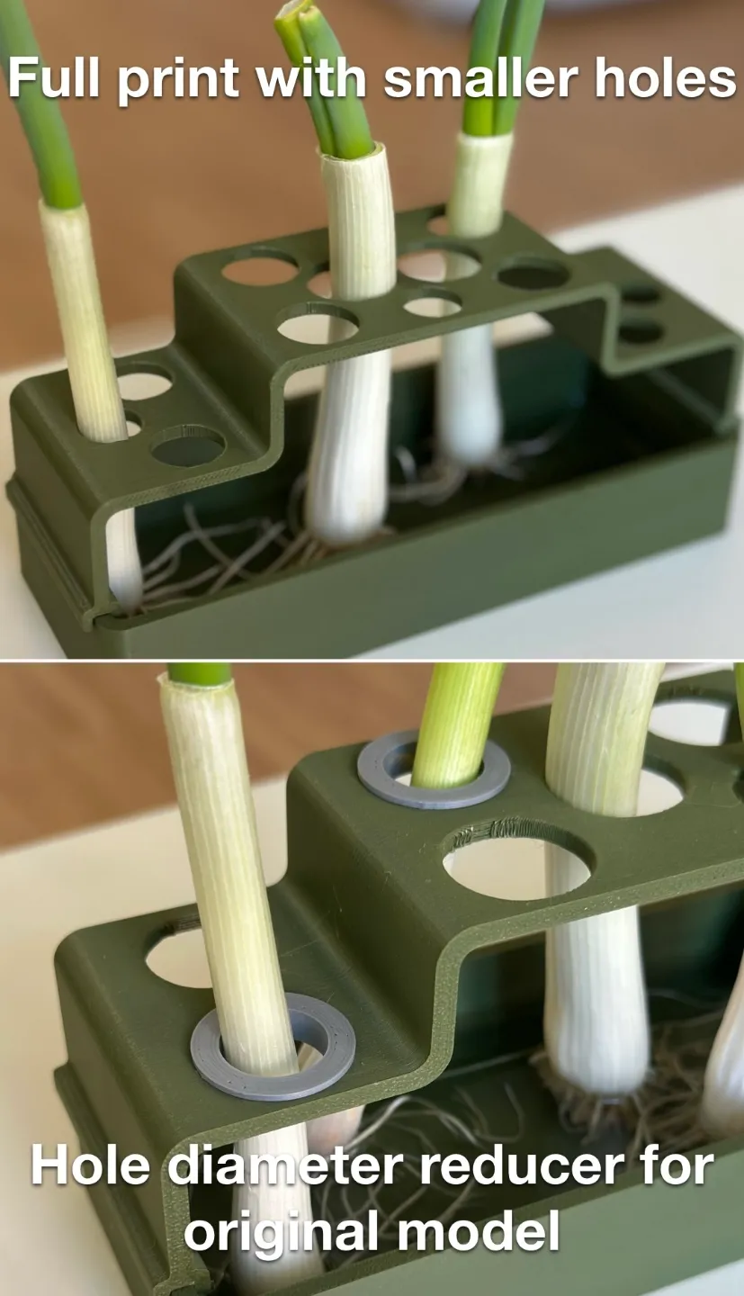 Regrow: Spring Onions by bruno:) MakerWorld: Download Free 3D Models