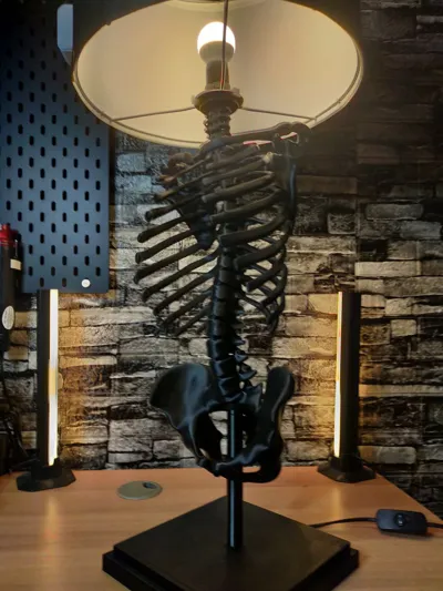 HUMAN SKELETON LAMP - Free 3D Print Model - MakerWorld