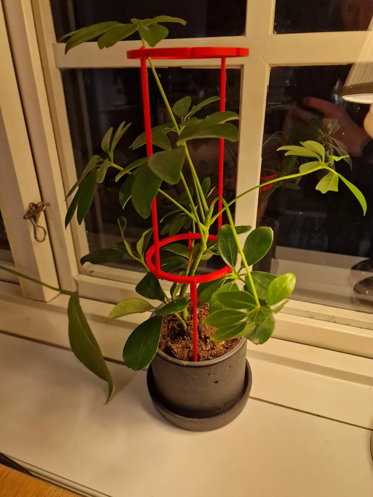 Modular Plant Support v2 - Free 3D Print Model - MakerWorld