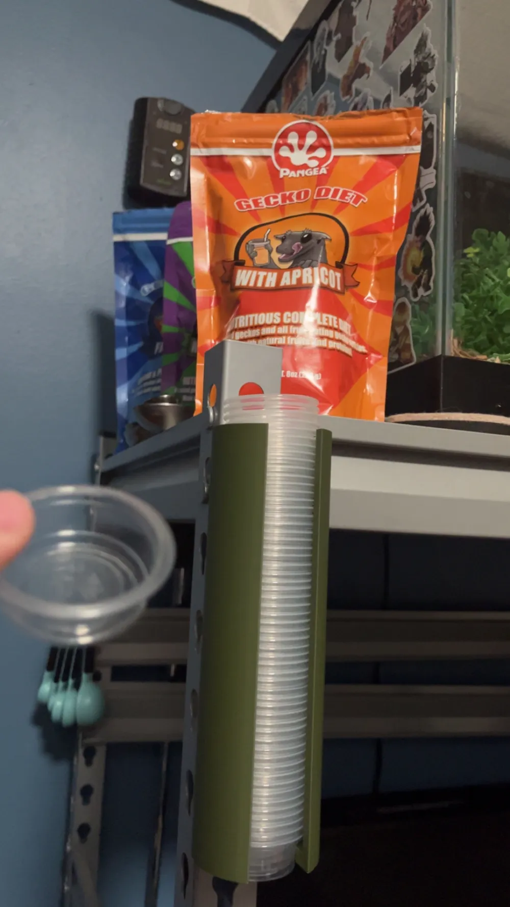 Gecko Feeding Cup Organizer by Nick Woj MakerWorld: Download Free 3D Models