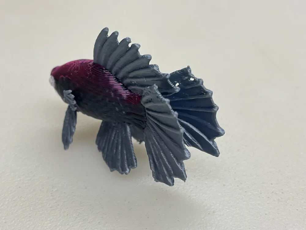 Beta Fish - Free 3D Print Model - MakerWorld