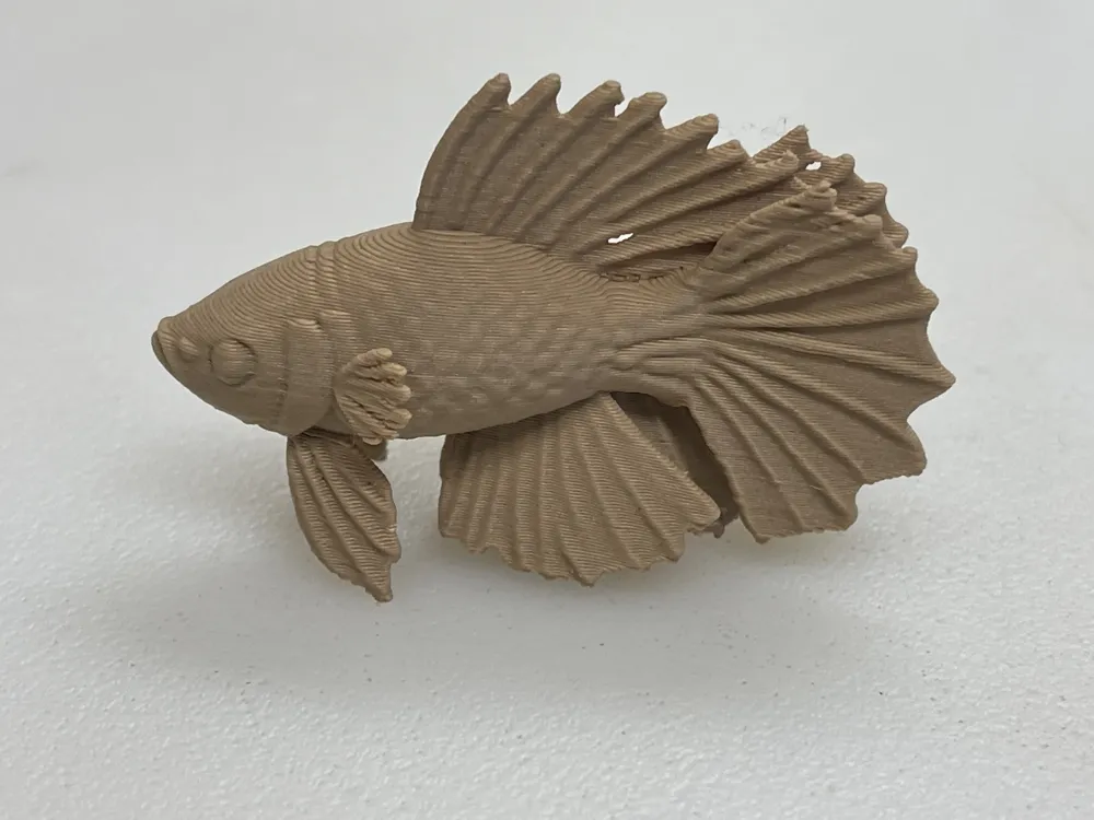 Beta Fish - Free 3D Print Model - MakerWorld