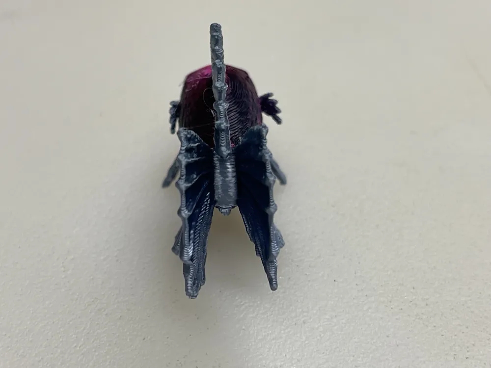 Beta Fish - Free 3D Print Model - MakerWorld