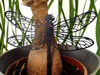 Dragonfly flower plug - Free 3D Print Model - MakerWorld