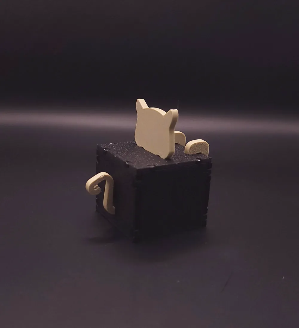 Kiry Charakterkarten-Kit – Katze in einer Box – Kostenloses 3D ...