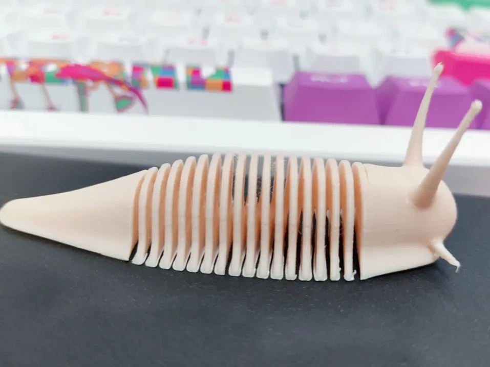 Spring Slug, Slime, Snail (Homeless) Expanding Bamboo P Series Dust ...