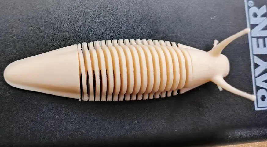 Spring Slug, Slime, Snail (Homeless) Expanding Bamboo P Series Dust ...