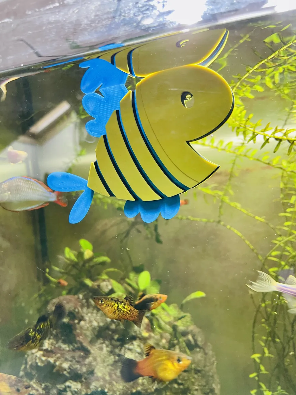Floaty Flexi Happy Fish by wojteq5 - MakerWorld