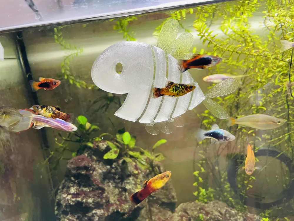 Floaty Flexi Happy Fish - Free 3D Print Model - MakerWorld