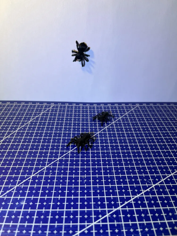 Spider (realistic!) by Stoom MakerWorld: Download Free 3D Models