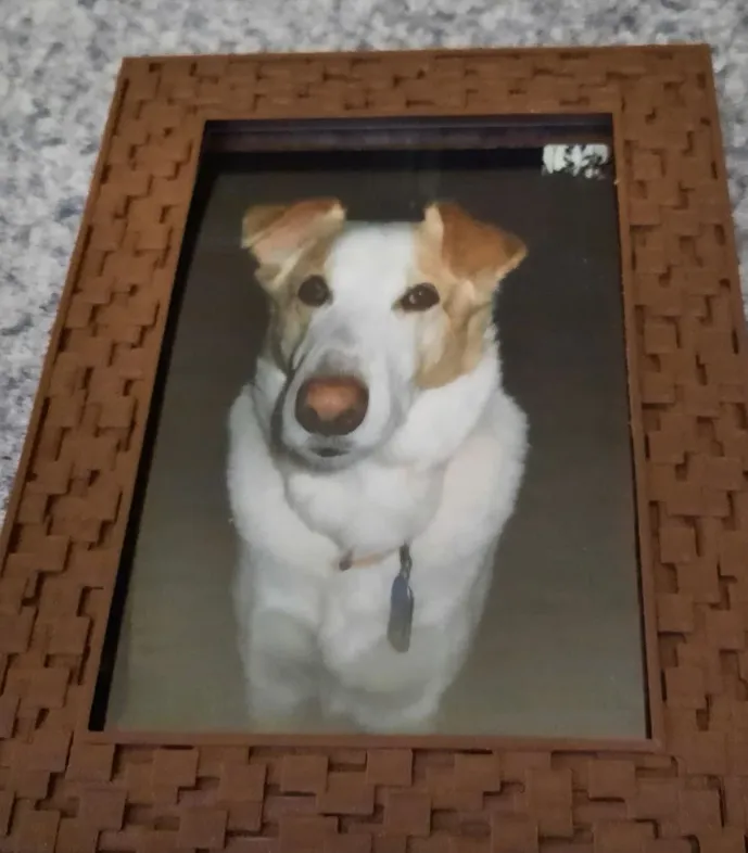 Marco de fotos de impresión en el sitio - Modelo de impresión 3D ...