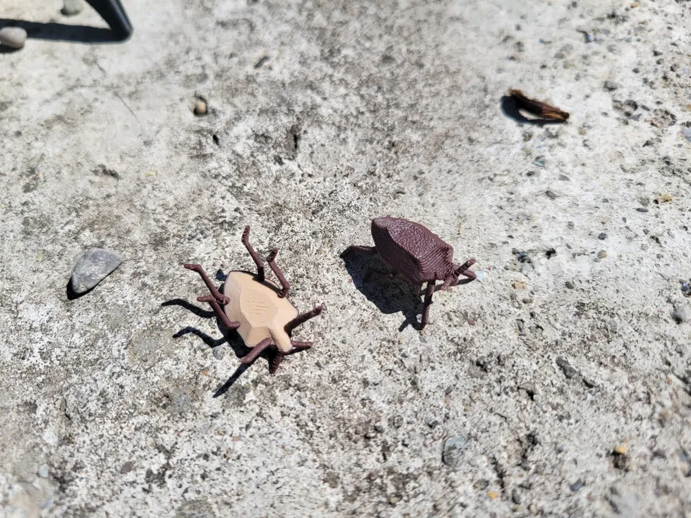 Stink Bug "Tert" by Dr_EGfishMakerWorld: Download Free 3D Models