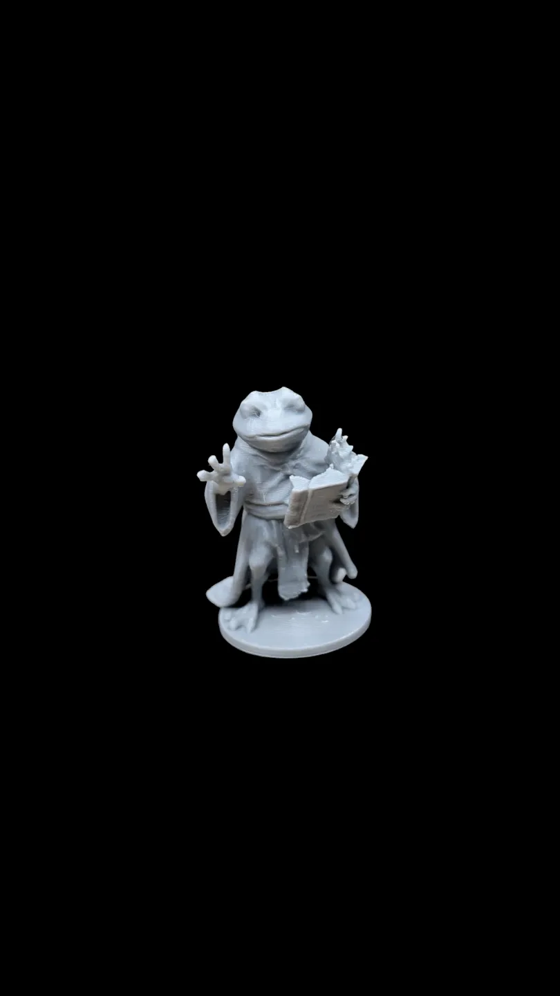 DnD Frog Mage Miniature by MikeGyver - MakerWorld