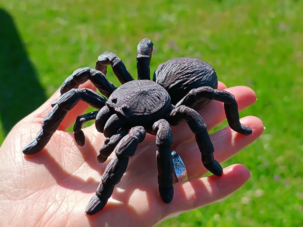 Tarantula – lifelike and detailed by Go3D MakerWorld: Download Free 3D ...