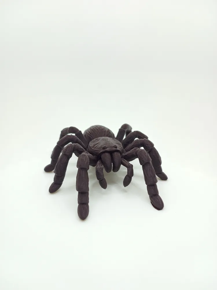 Tarantula – lifelike and detailed - Free 3D Print Model - MakerWorld