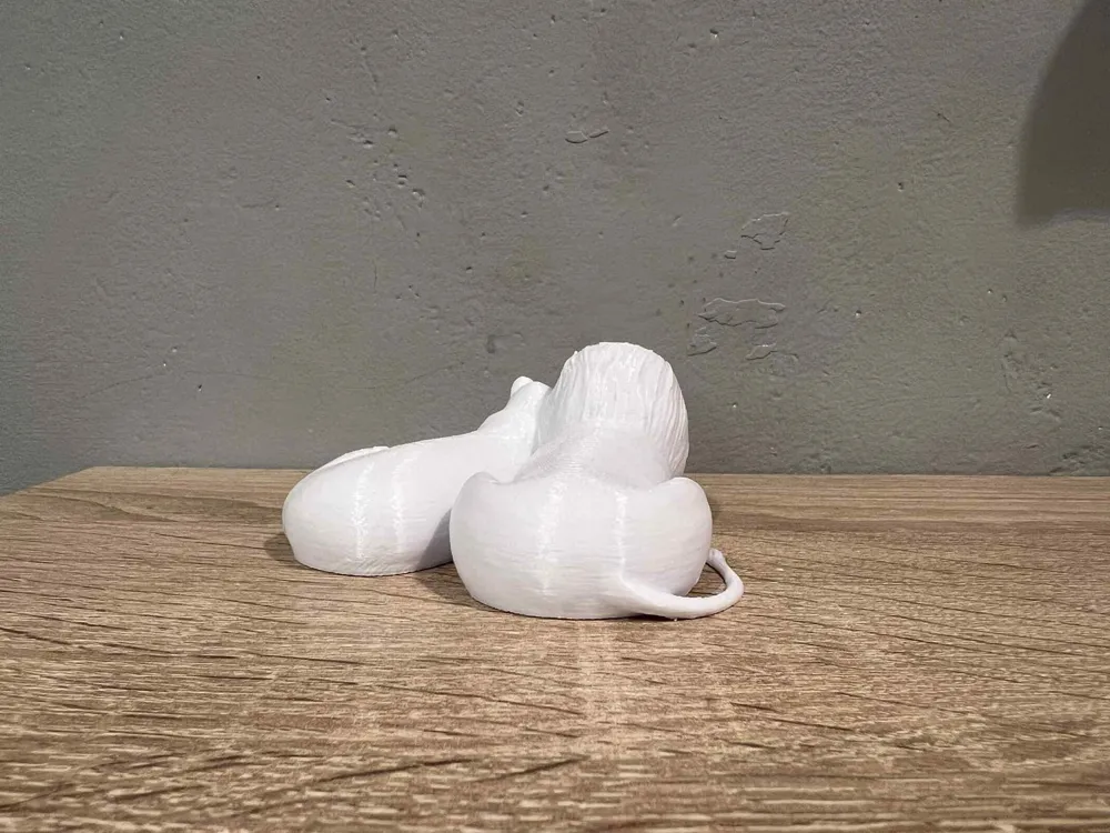 Lion and Lioness - Love - Animals - Free 3D Print Model - MakerWorld