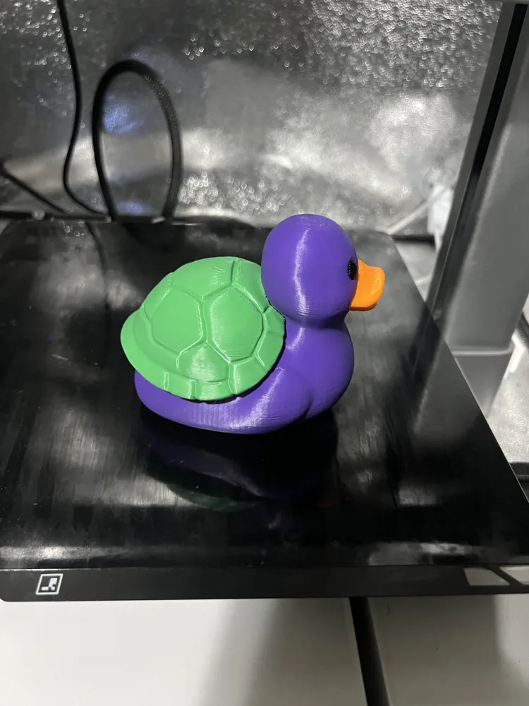 Derpy Turtle Duck by Prints By Reynolds MakerWorld: Download Free 3D Models
