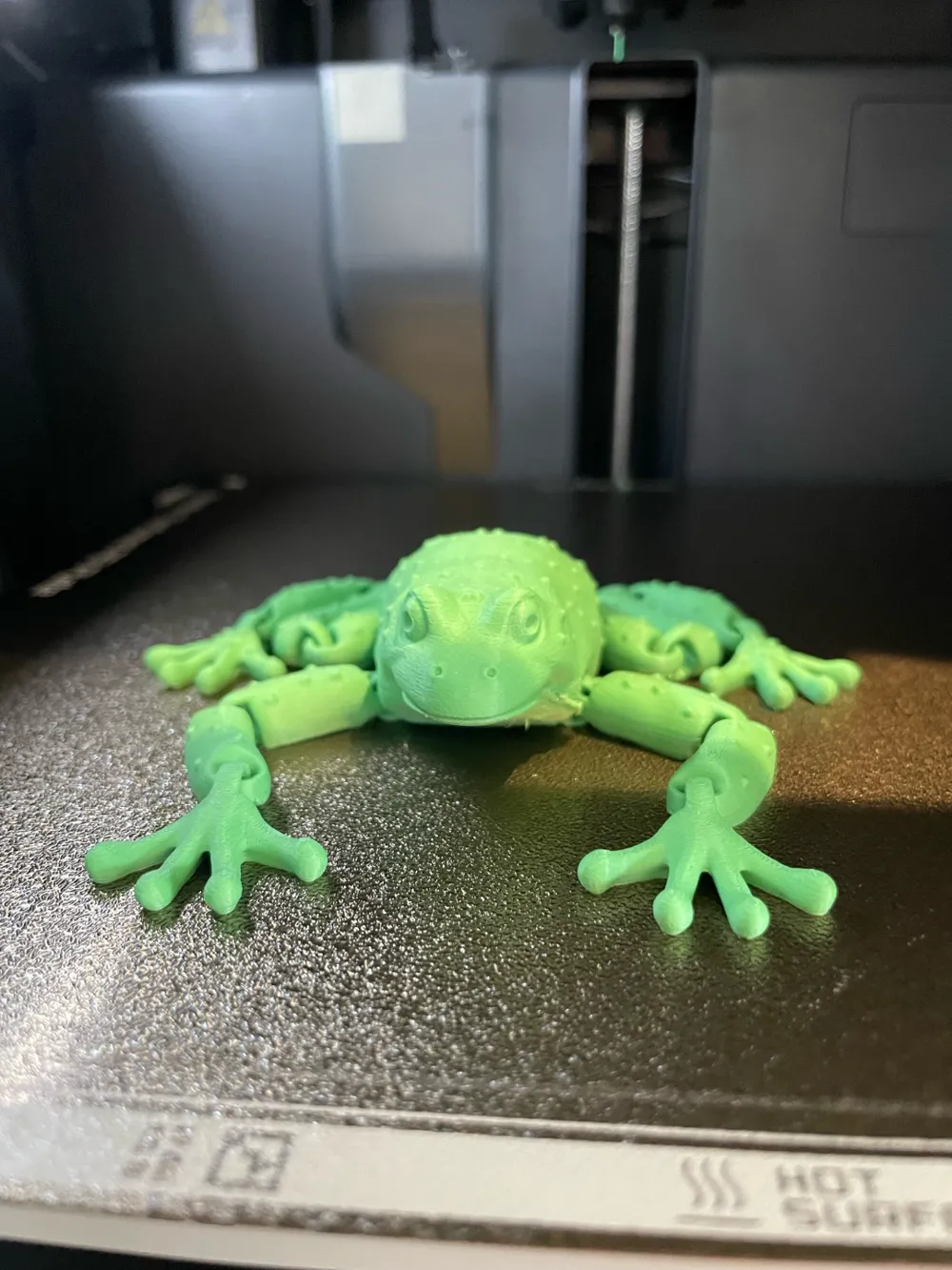 Articulated Flexi Frog by mathiasdela MakerWorld: Download Free 3D Models