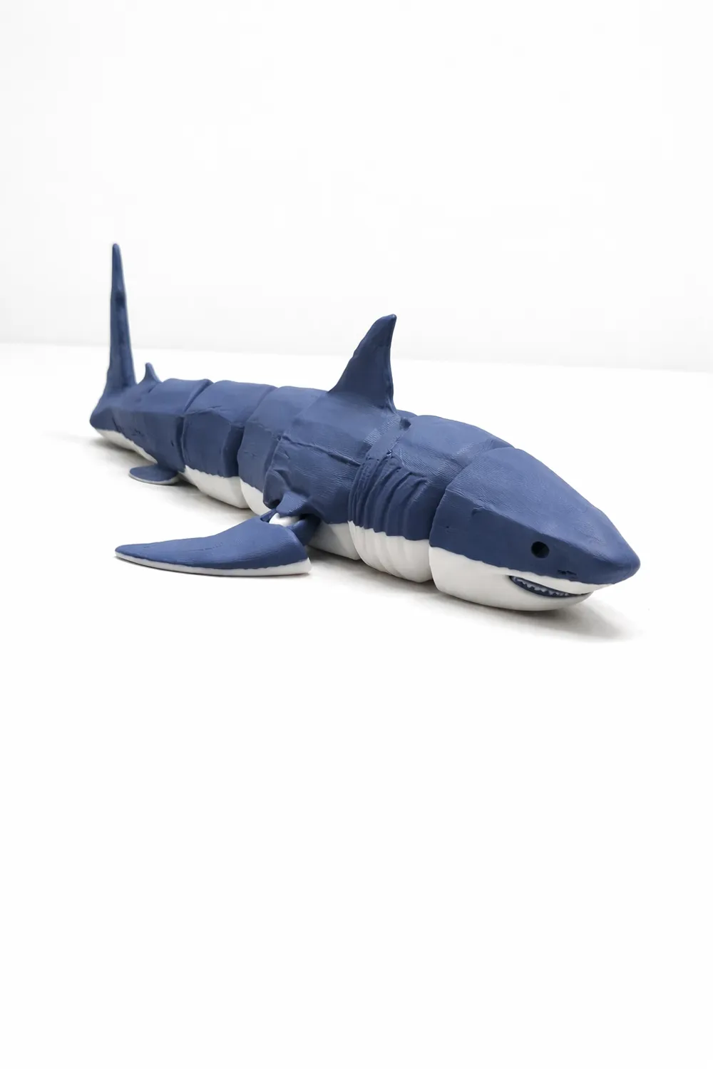 Megalodon Prehistoric Dinosaur Shark Flexi - Free 3D Print Model ...