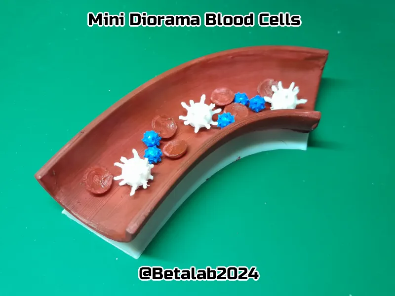 Mini Diorama Blood Cells by Betalab3D - MakerWorld