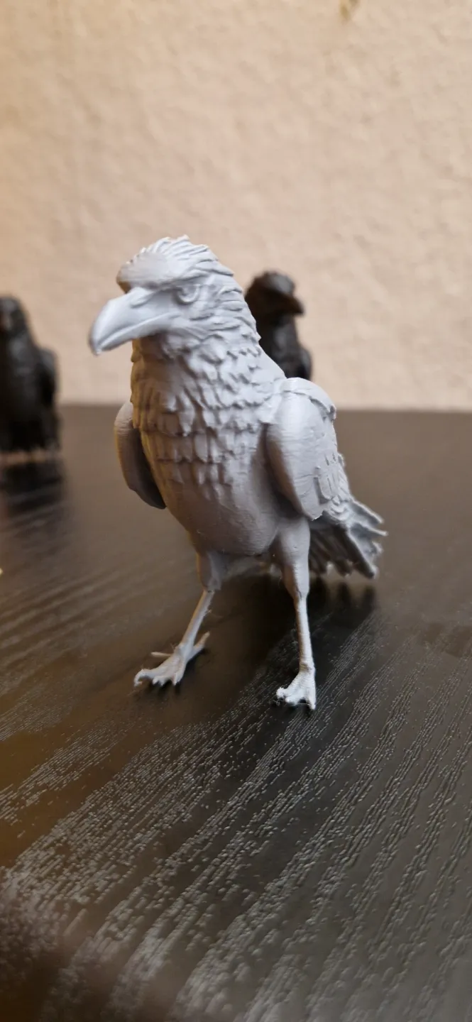 Preeing Raven Remixed by Maderen MakerWorld: Download Free 3D Models