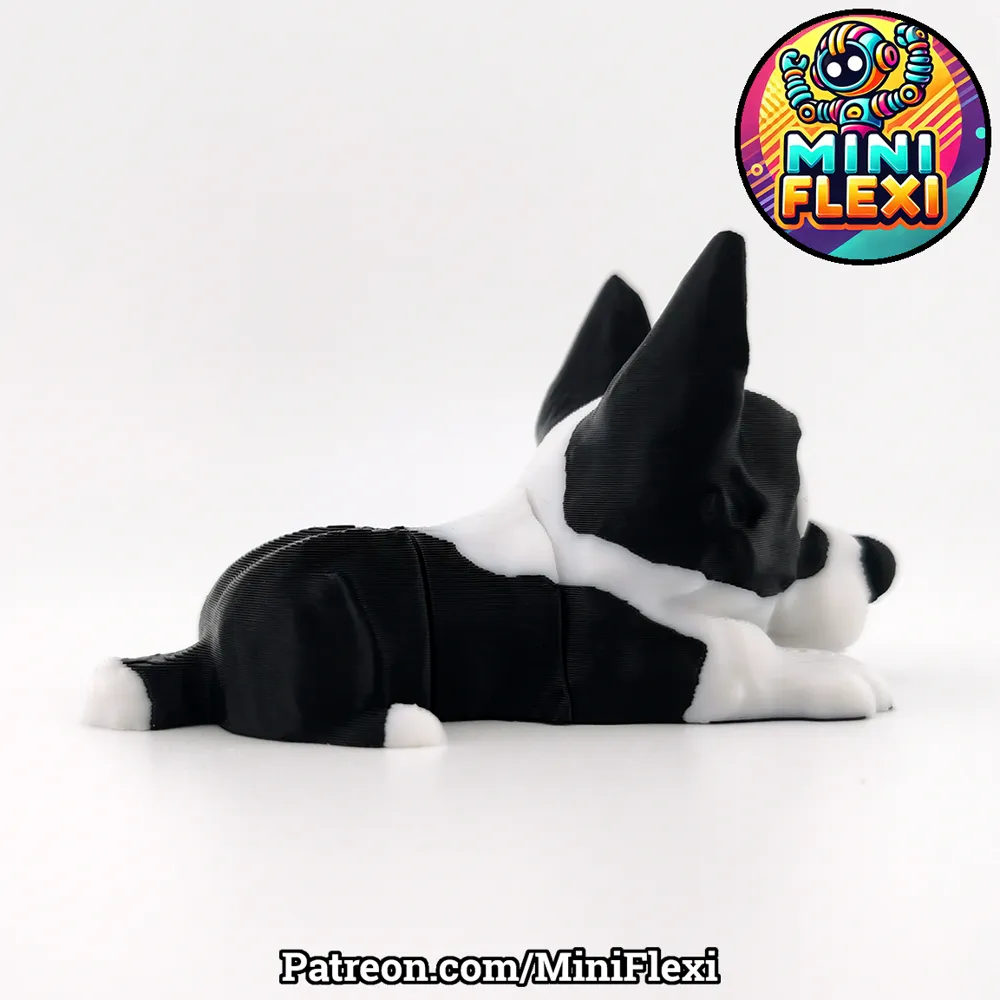 Mini Flexi Border Collie - No Support Articulated by Mini Flexi MakerWorld: Download Free 3D Models