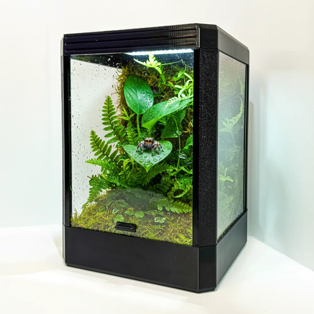 JUMPING SPIDER TERRARIUM - Free 3D Print Model - MakerWorld