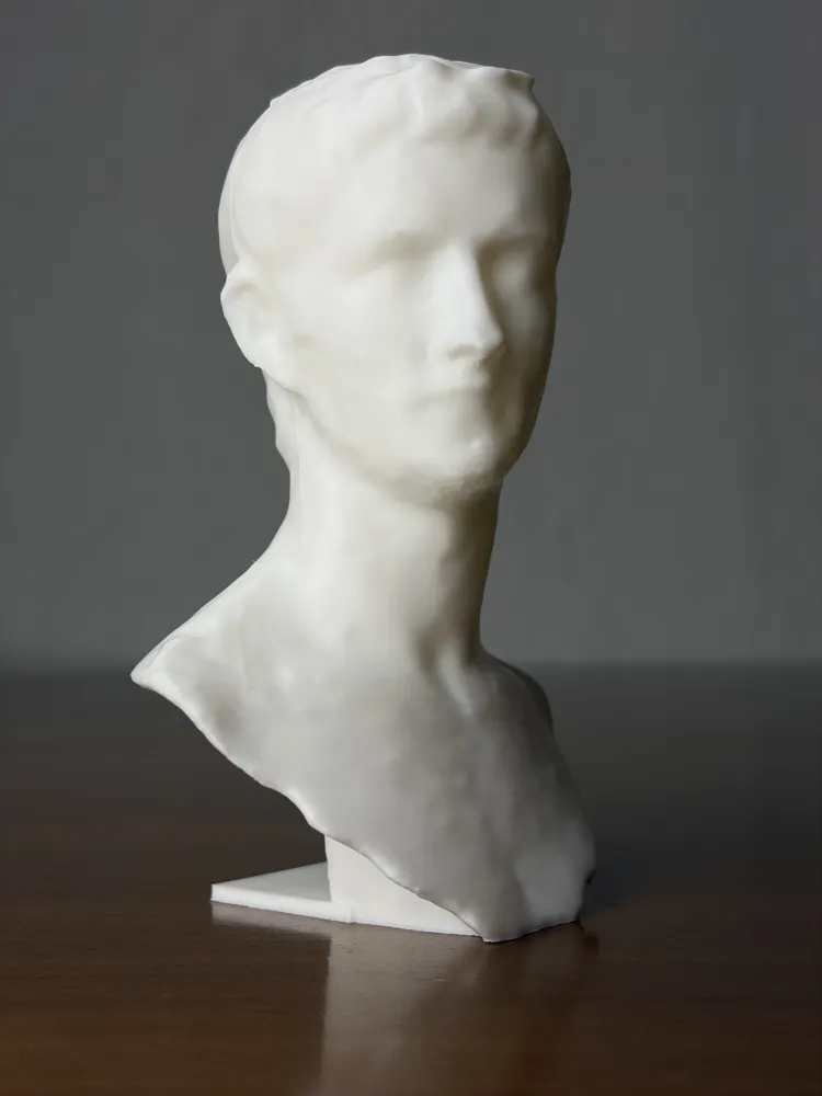 Bust of Emperor Gaius - Free 3D Print Model - MakerWorld