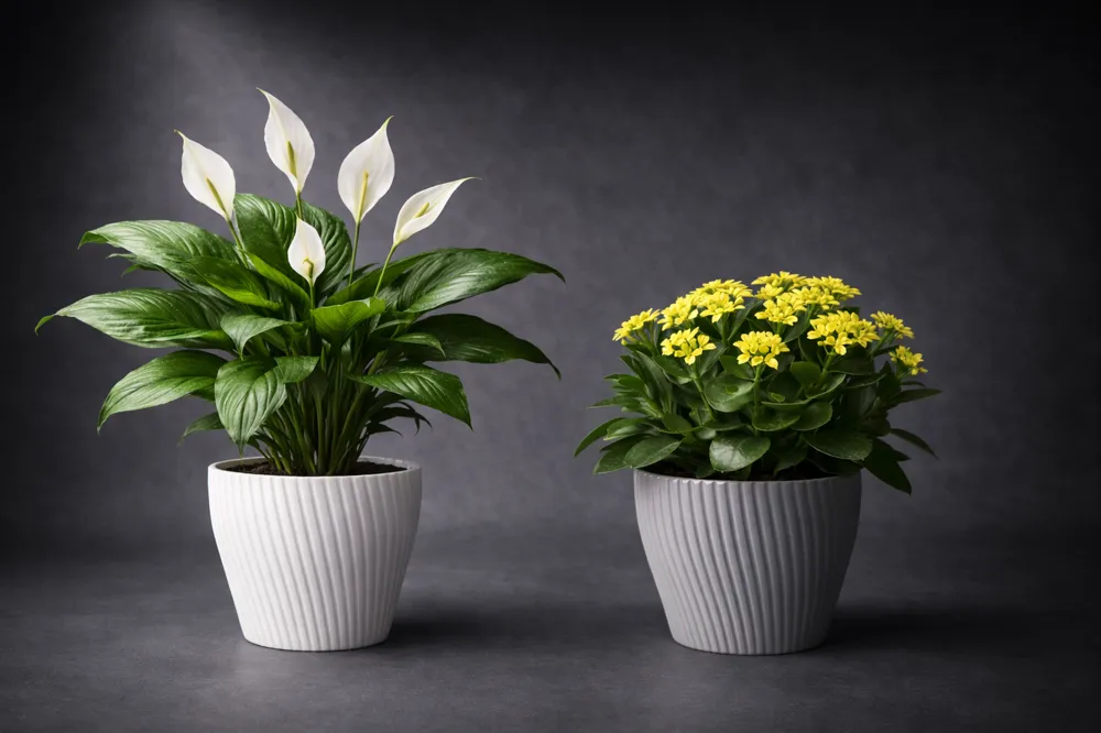 Simple Flower - Plant Pot - Free 3D Print Model - MakerWorld