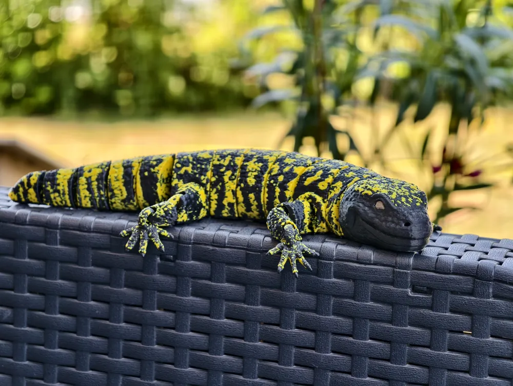 Realistic Articulated Gila Monster - Free 3D Print Model - MakerWorld