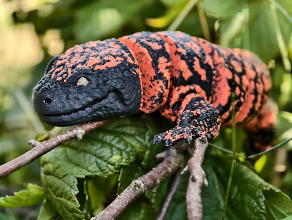 Realistic Articulated Gila Monster - Free 3D Print Model - MakerWorld