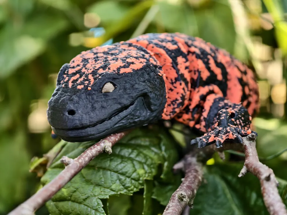 Realistic Articulated Gila Monster - Free 3D Print Model - MakerWorld