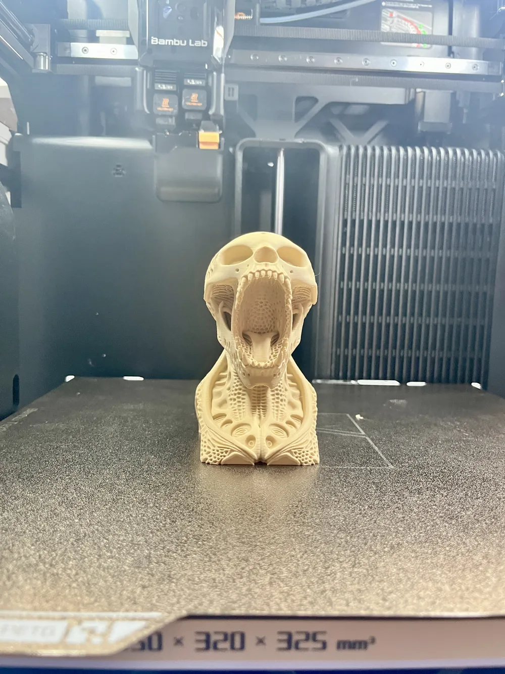 Dead Skull art - Free 3D Print Model - MakerWorld