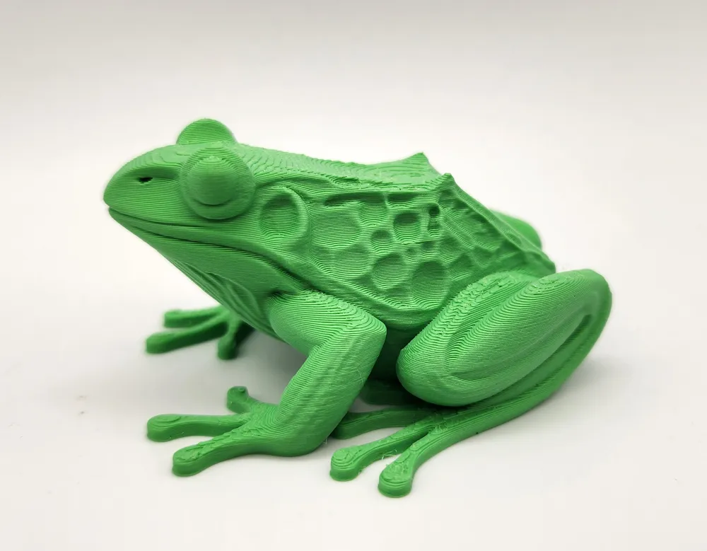 Realistic Frog - Free 3D Print Model - MakerWorld