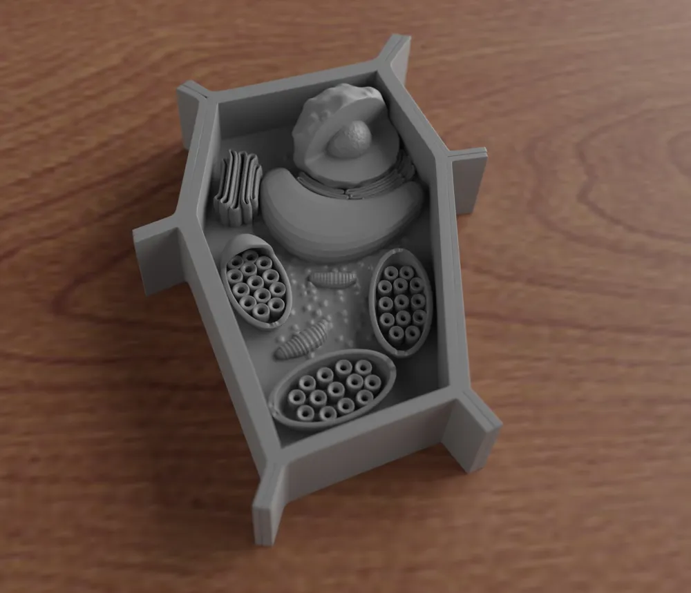 Cell Vegetables - Free 3D Print Model - MakerWorld